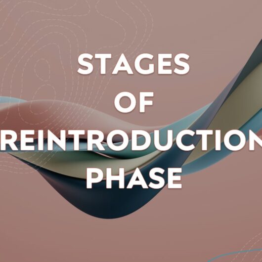 GUIDE FOR FOOD REINTRODUCTION - AIP Wellness Journey